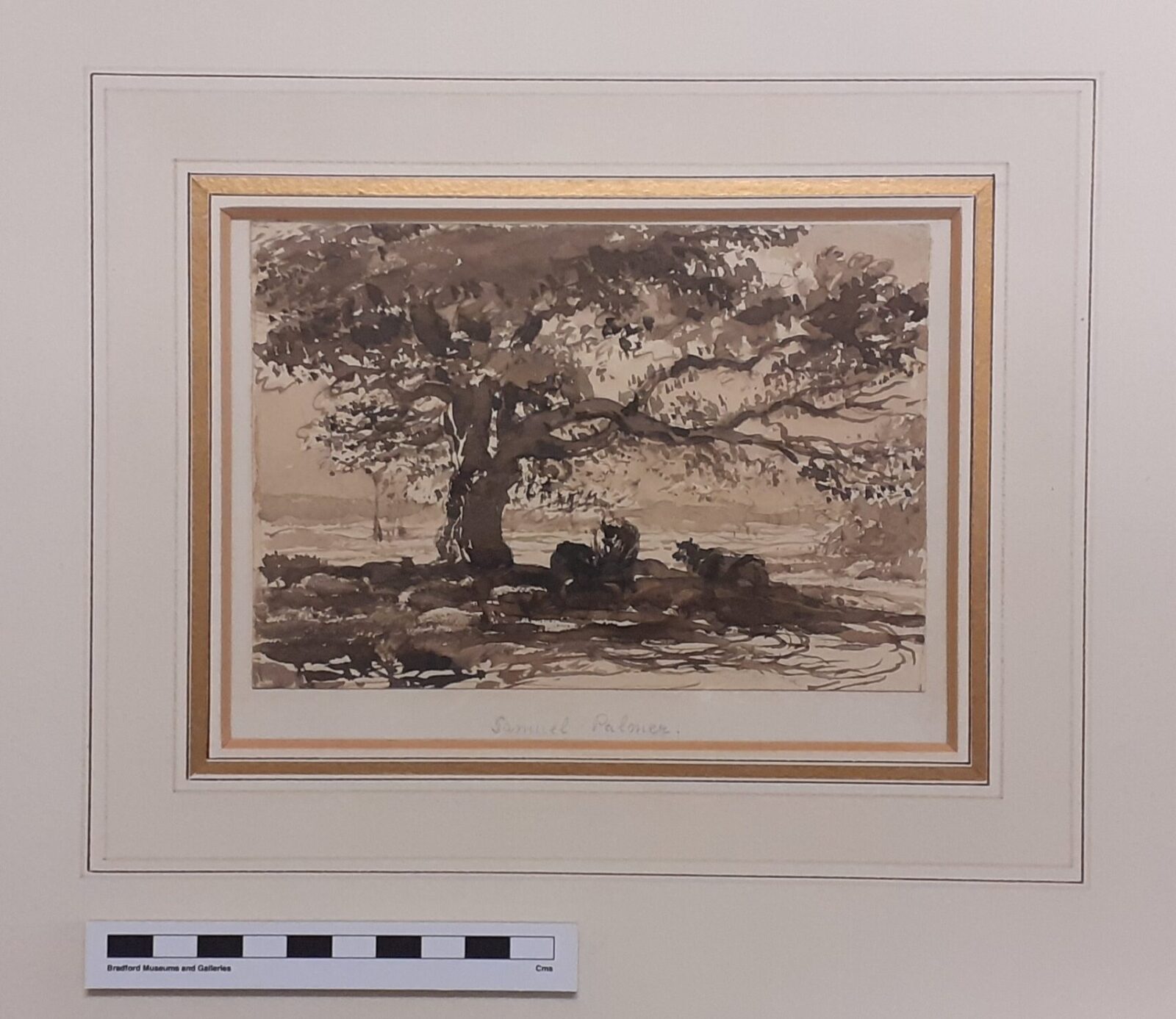 Bradford District Museums & Galleries - Guest Blog: Searching for ...