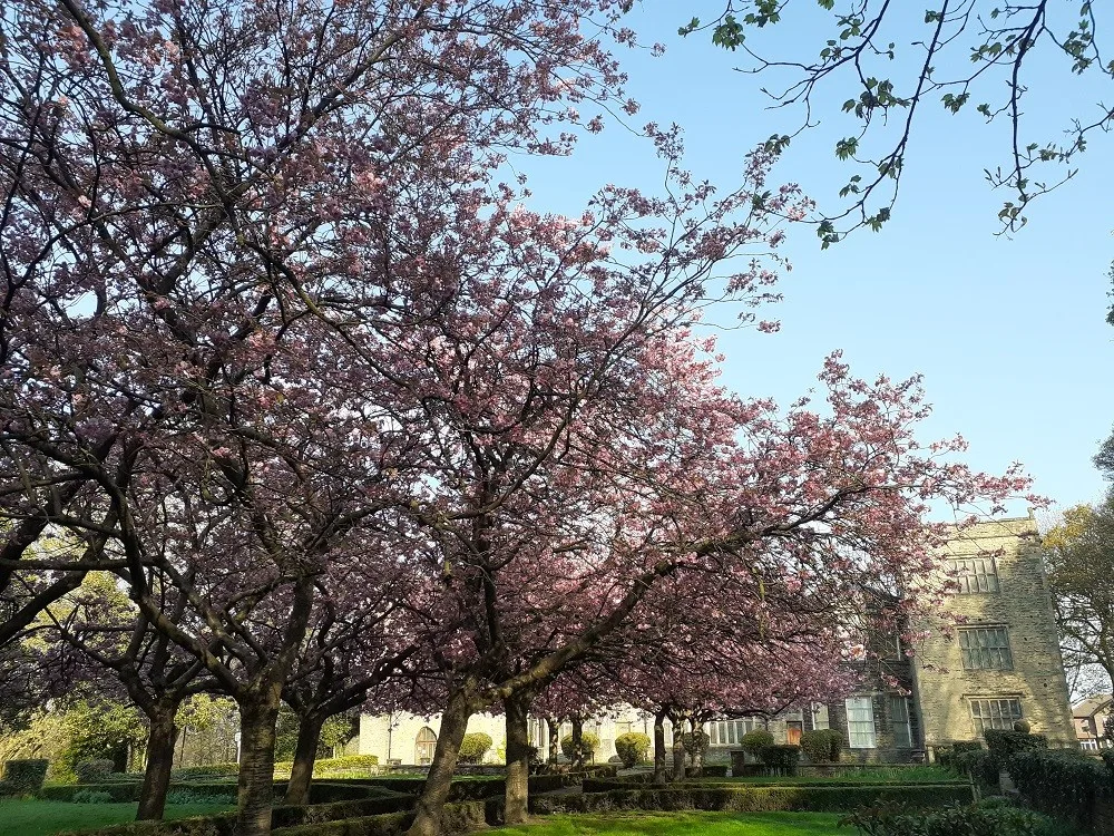 Bradford District Museums & Galleries - Traditional Games at Bolling Hall